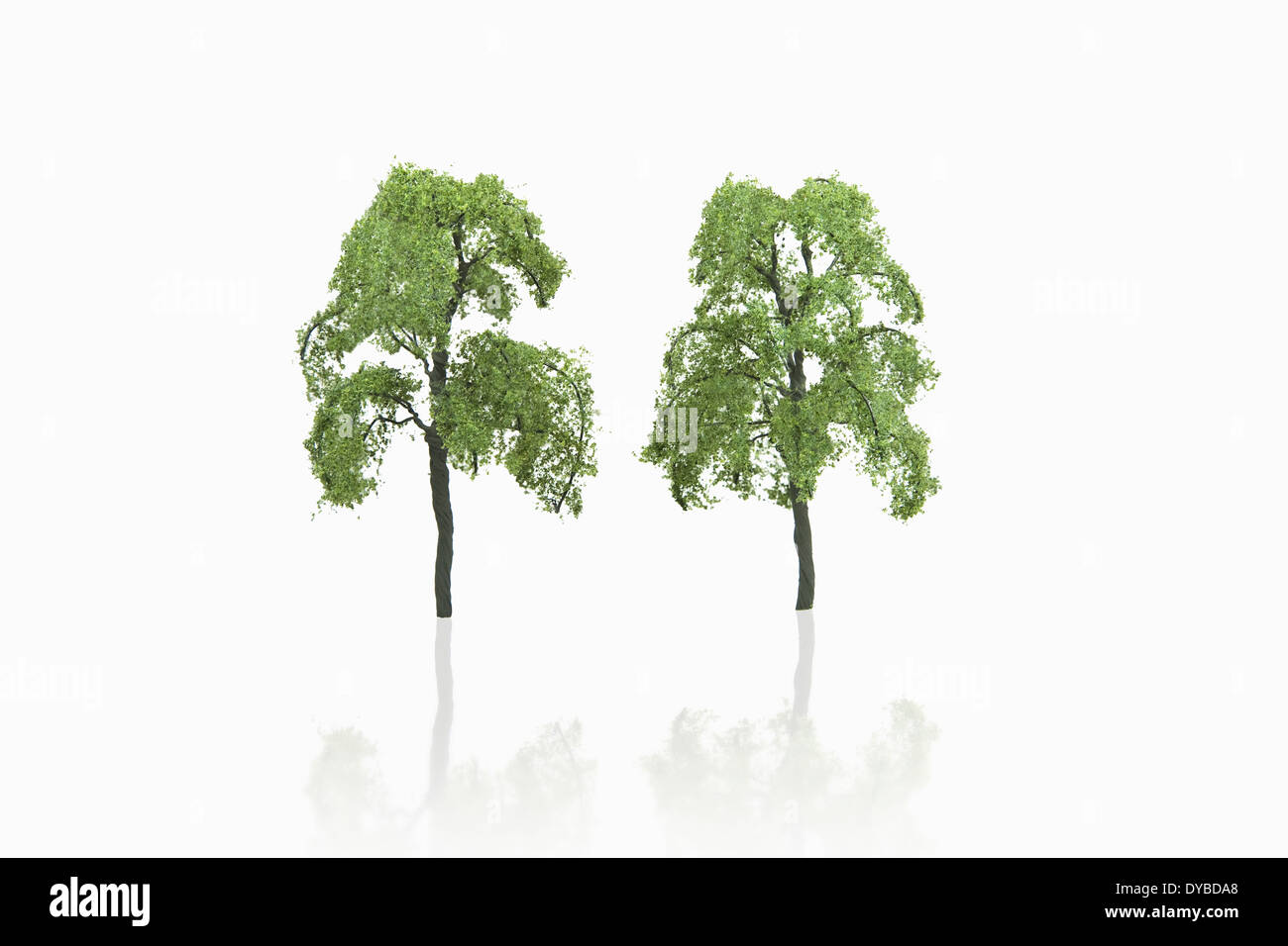 scale model Ash trees Stock Photo - Alamy