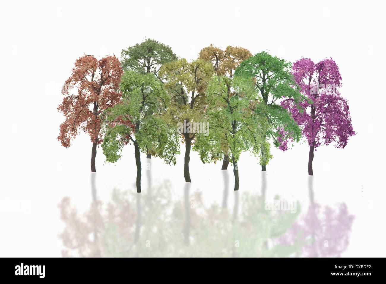 group of scale model Ash trees showing autumn colours Stock Photo - Alamy