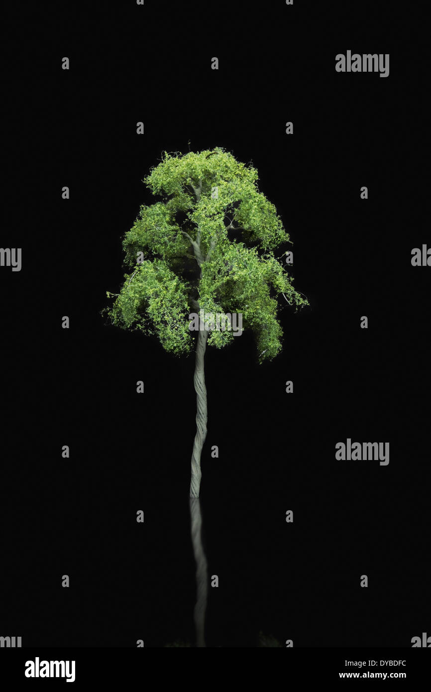Tree model hi-res stock photography and images - Alamy