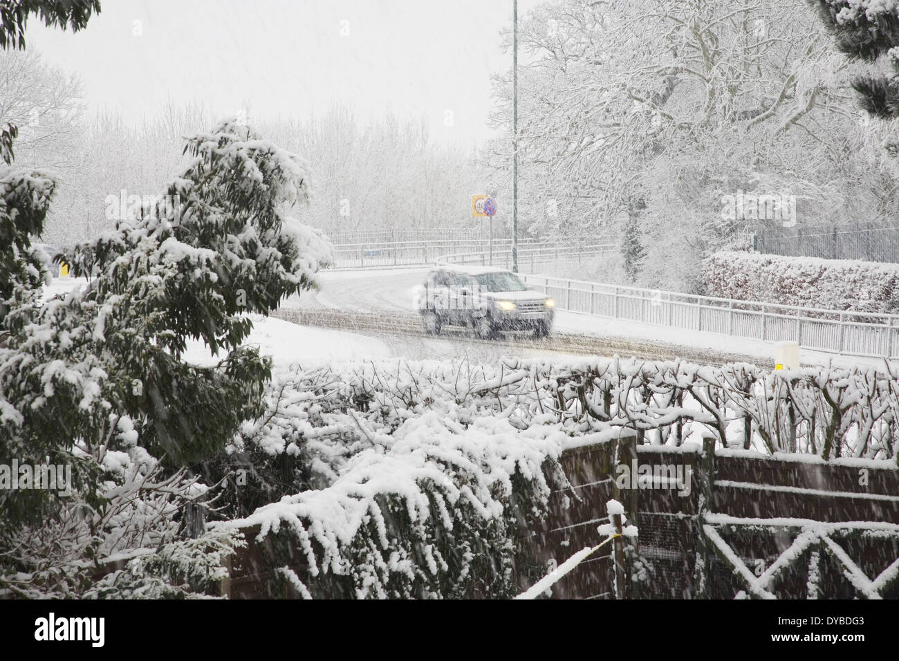 Snow blizzard hi-res stock photography and images - Alamy