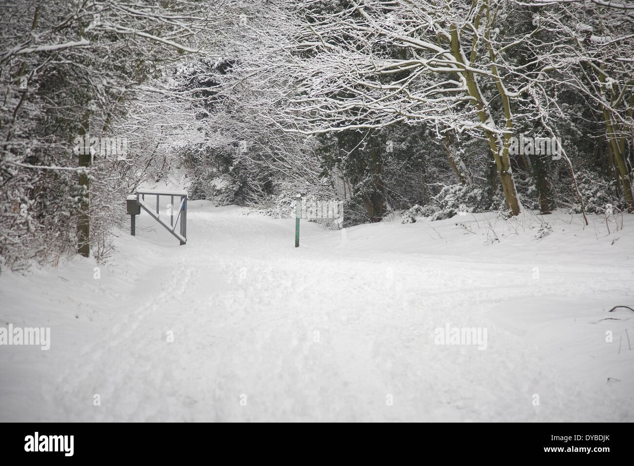 winter snow scene in England Stock Photo - Alamy