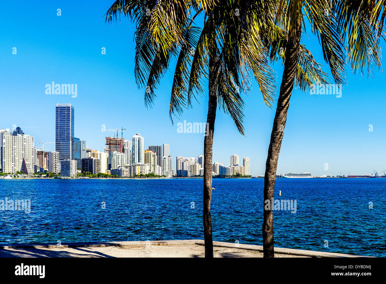 Miami Downtown skyline in daytime with Biscayne Bay Stock Photo - Alamy
