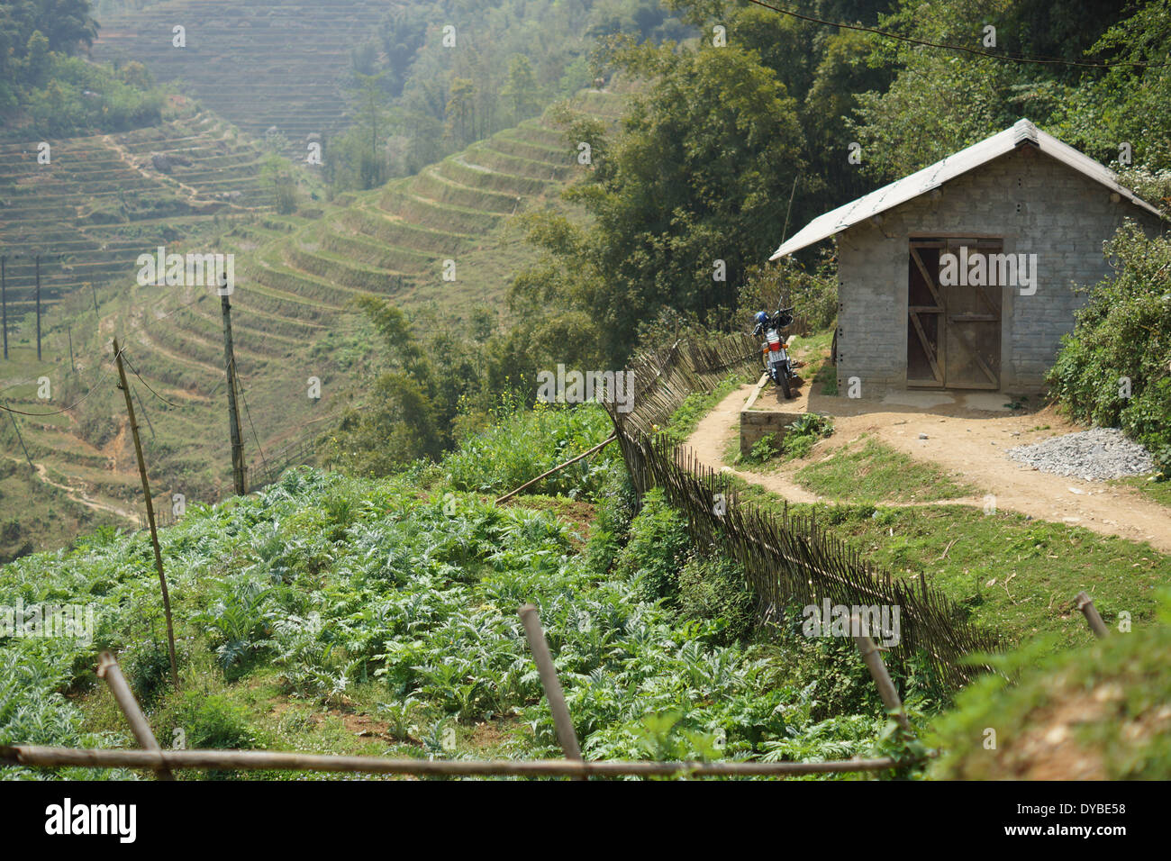 Farm house and rice terrace Stock Photo - Alamy