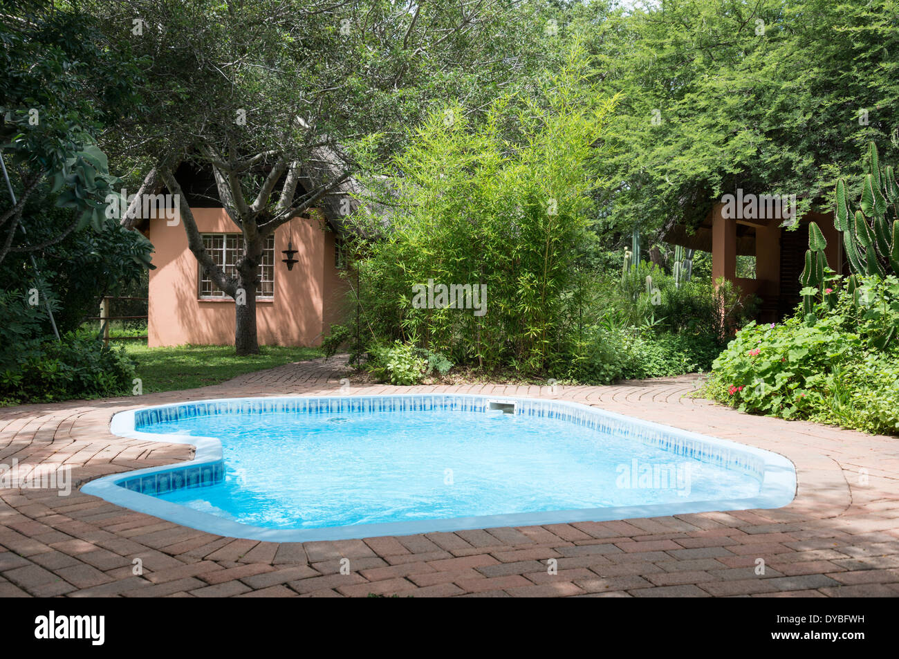 vacation home in nature forest south africa with pool Stock Photo - Alamy