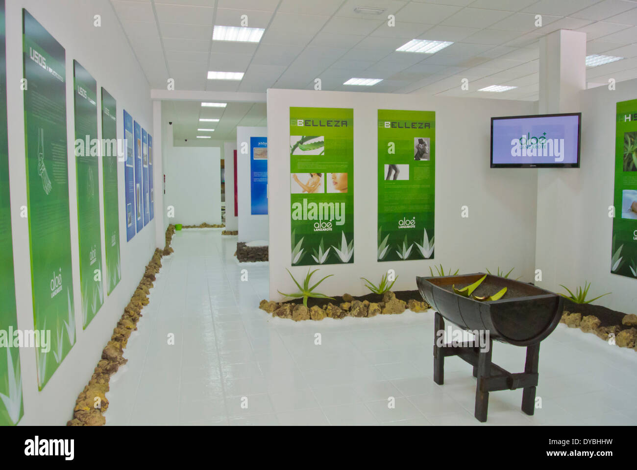 Museo de Aloe Vera, Aloe Vera museum, Yaiza, Lanzarote, Canary Islands ...