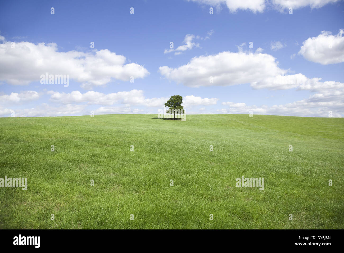 Lonely field hi-res stock photography and images - Alamy