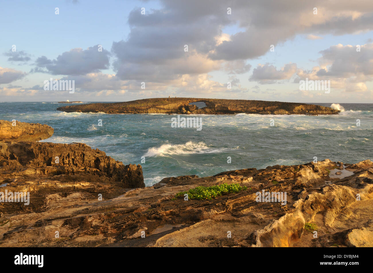 Laie Point, Oahu, Hawaii, USA Stock Photo - Alamy