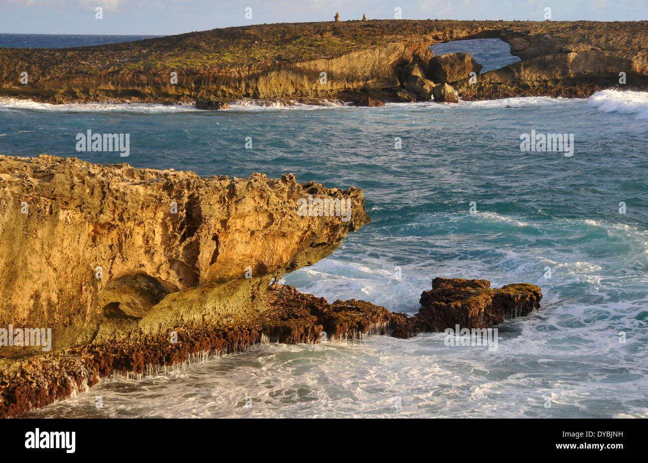 Laie Point, Oahu, Hawaii, USA Stock Photo - Alamy