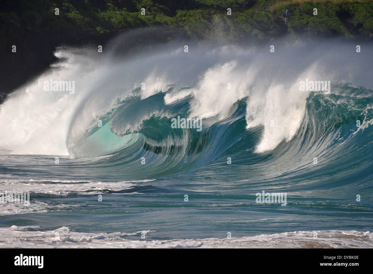Giant waves break in Waimea Bay Beach, North Shore, Oahu, Hawaii, USA ...