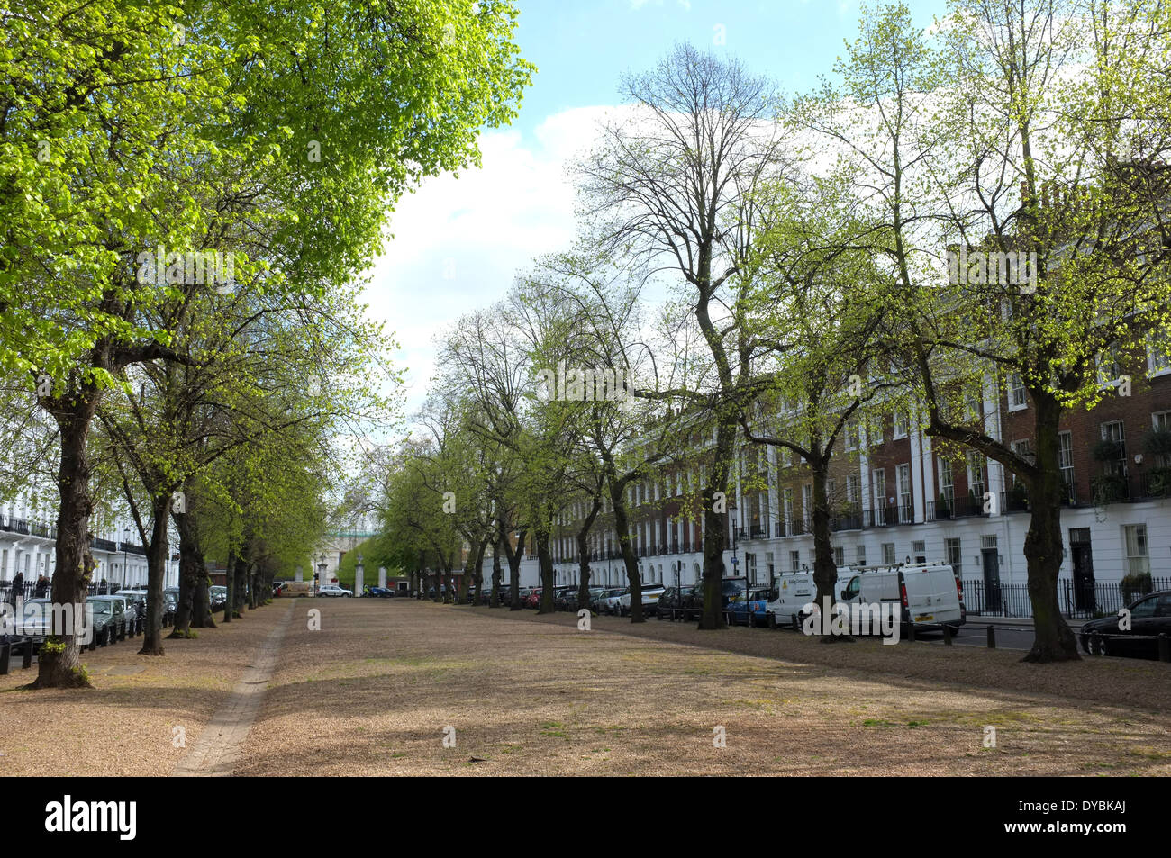 royal avenue off kings road chelsea london sw3 uk 2014 Stock Photo - Alamy