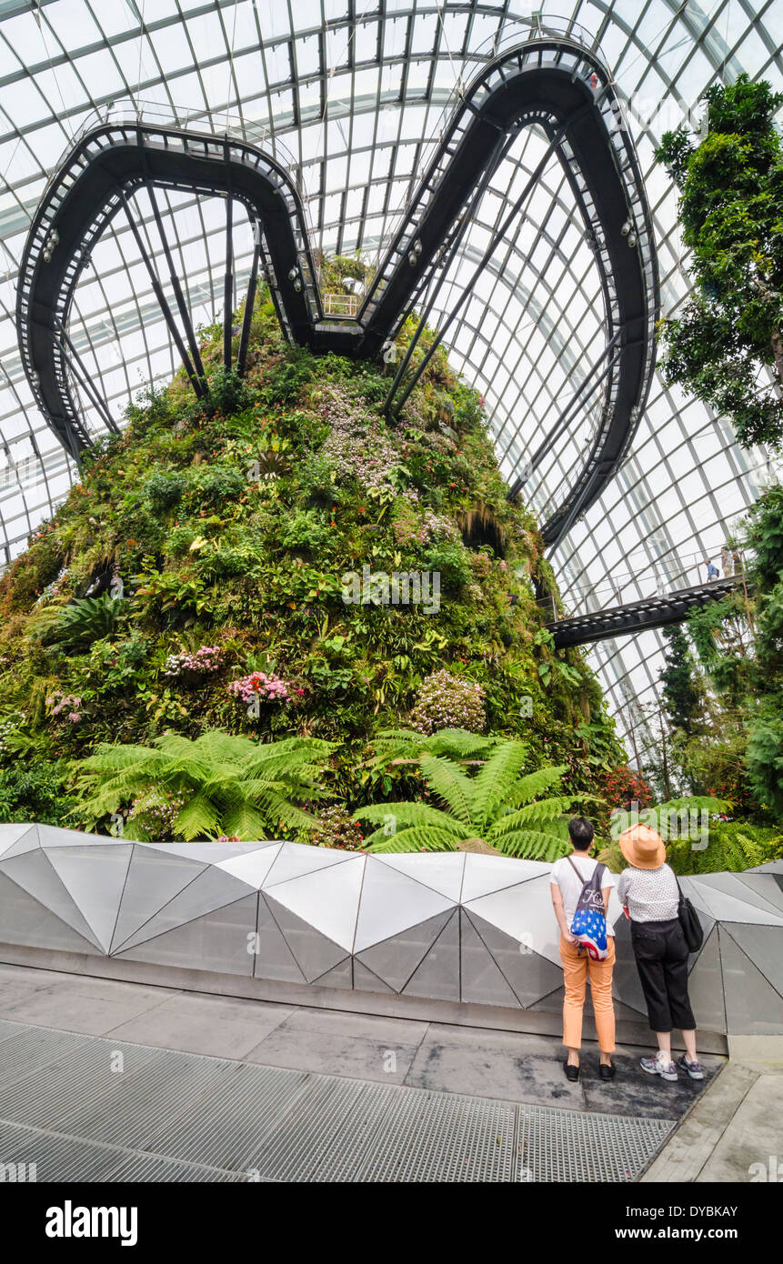 View of the Cloud Walk in the Cloud Forest Dome in the Gardens by the ...