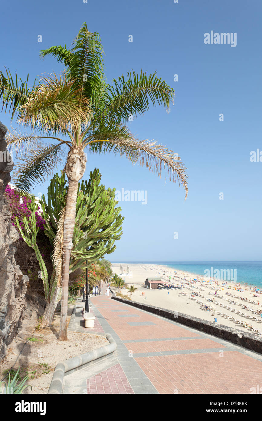 Jandia Beach and promenade in Morro Jable filled with tourists in the ...