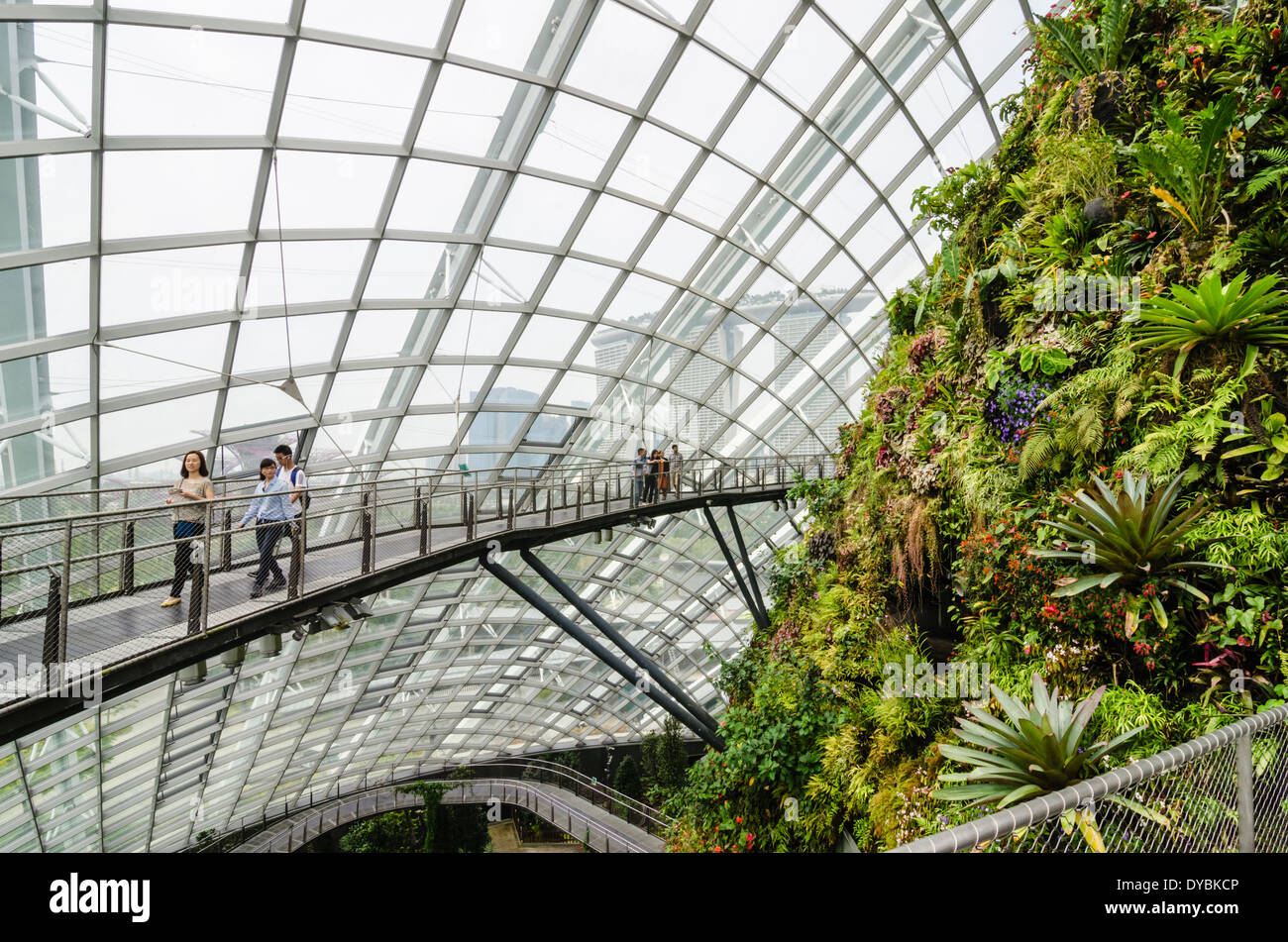 People on the Cloud Walk aerial walkway in the Cloud Forest Dome in ...