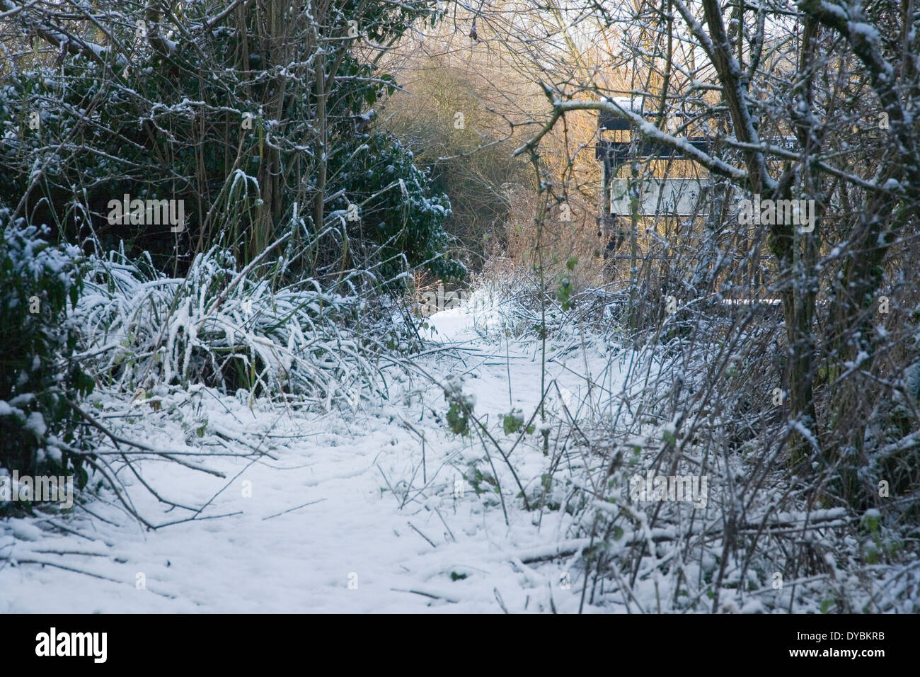 winter snow scene in The south of England showing a woodland snow ...
