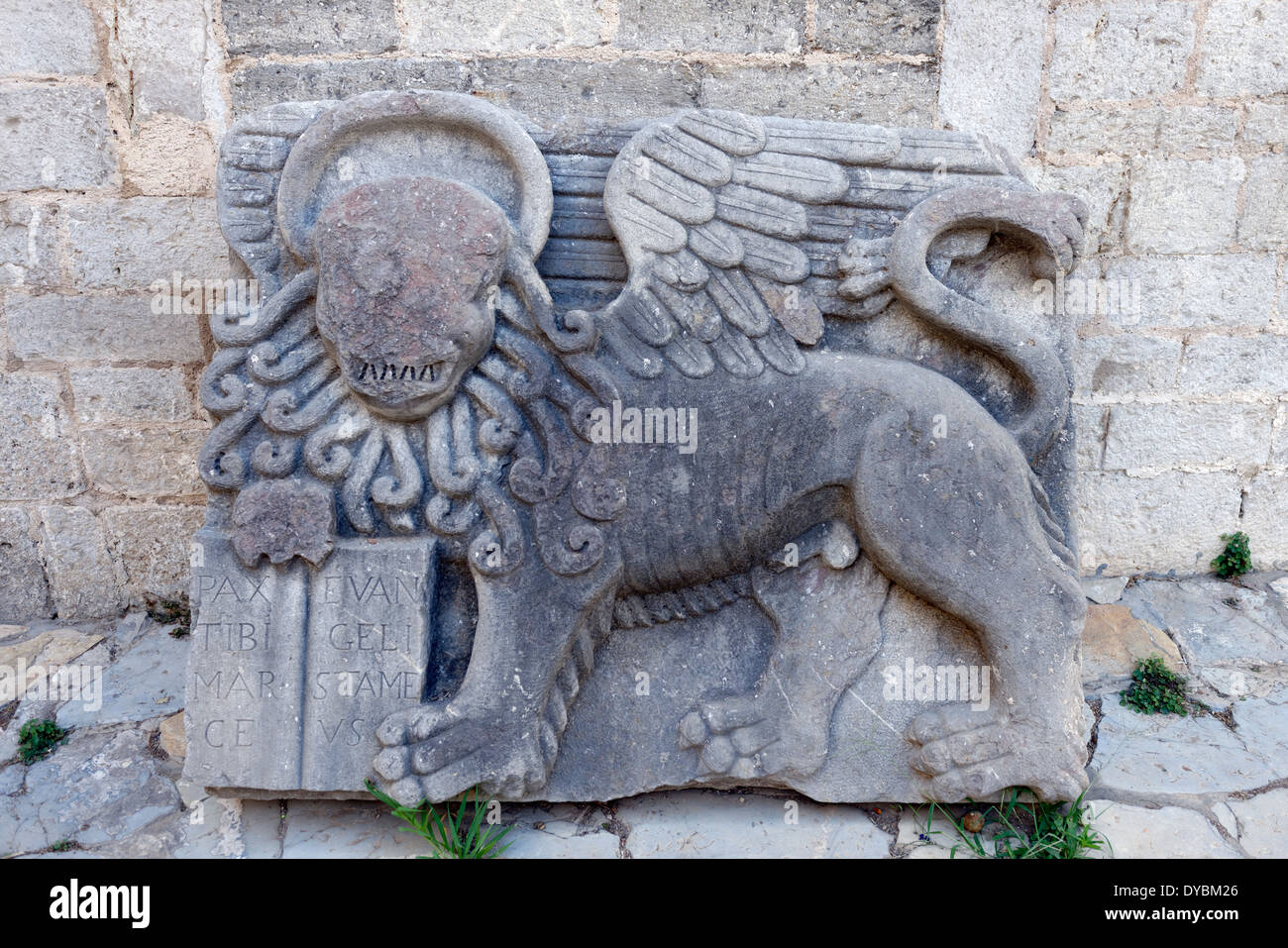 The lion king mark hi-res stock photography and images - Alamy