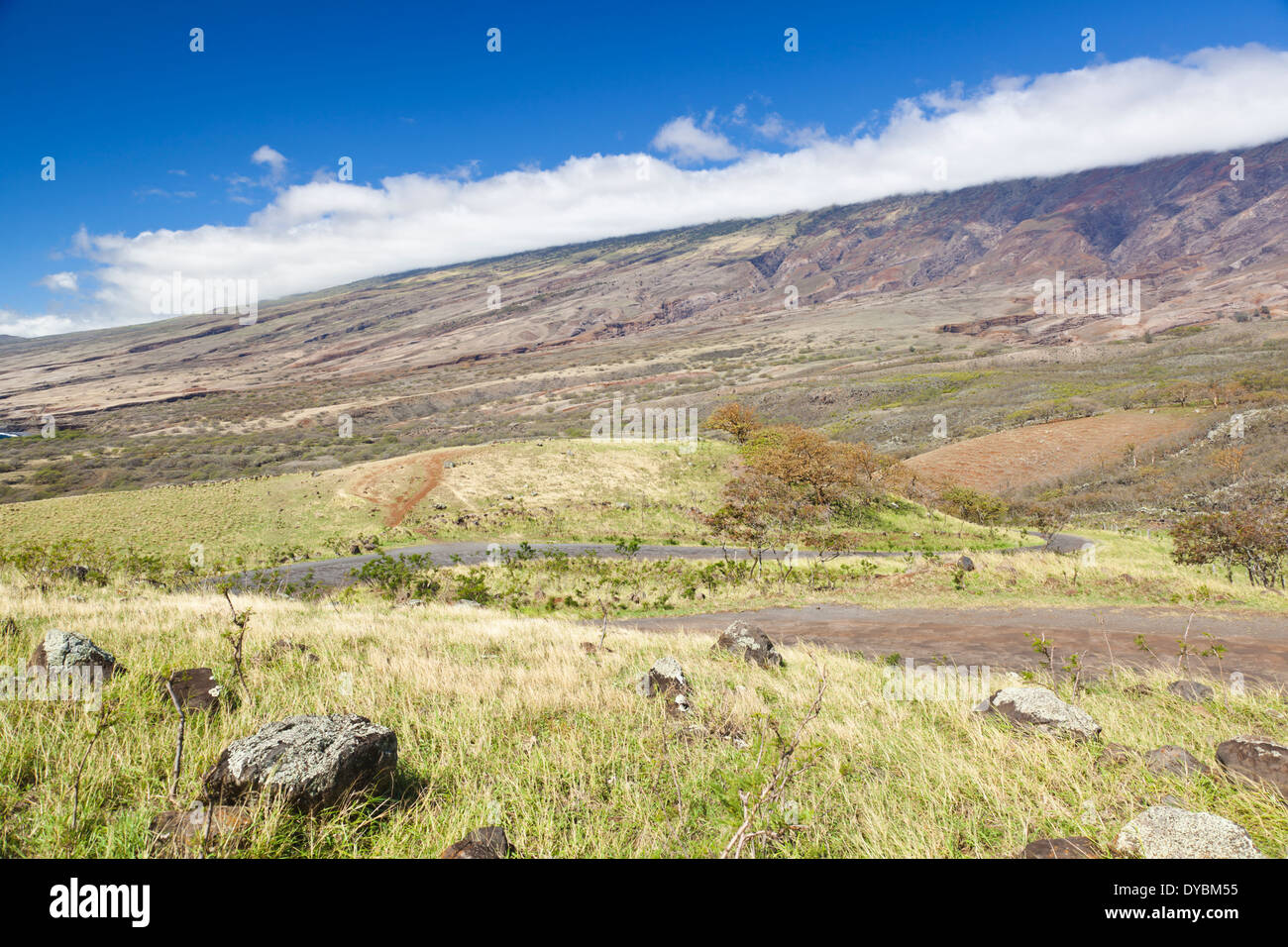 Wild southern Maui landscape, Hawaii Stock Photo - Alamy