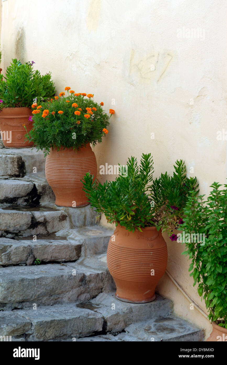 Colourful pot plants line steps hi-res stock photography and images - Alamy