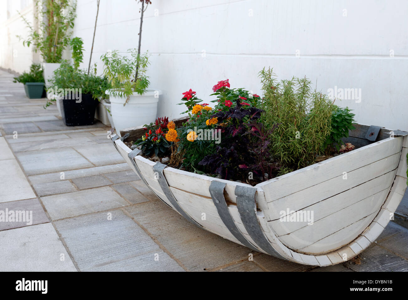 Greek pot plant hi-res stock photography and images - Alamy