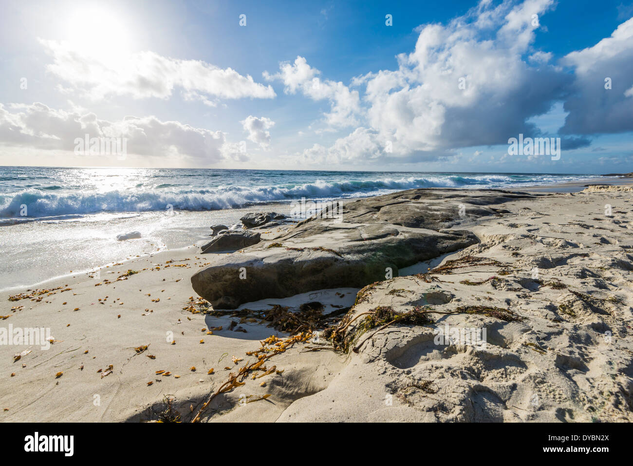 Windansea Beach. La Jolla, California, United States Stock Photo - Alamy