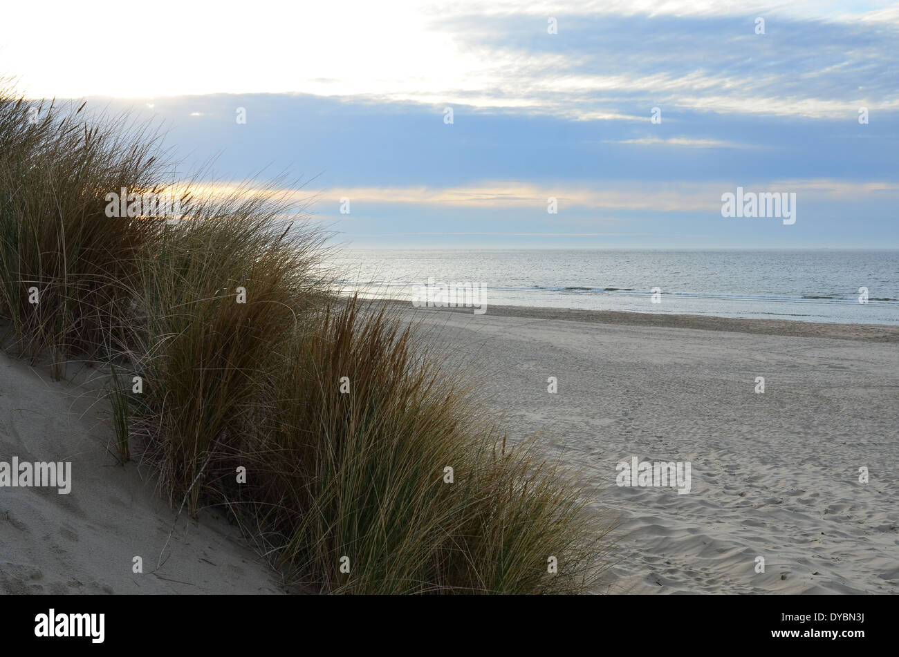 Renesse hi-res stock photography and images - Alamy