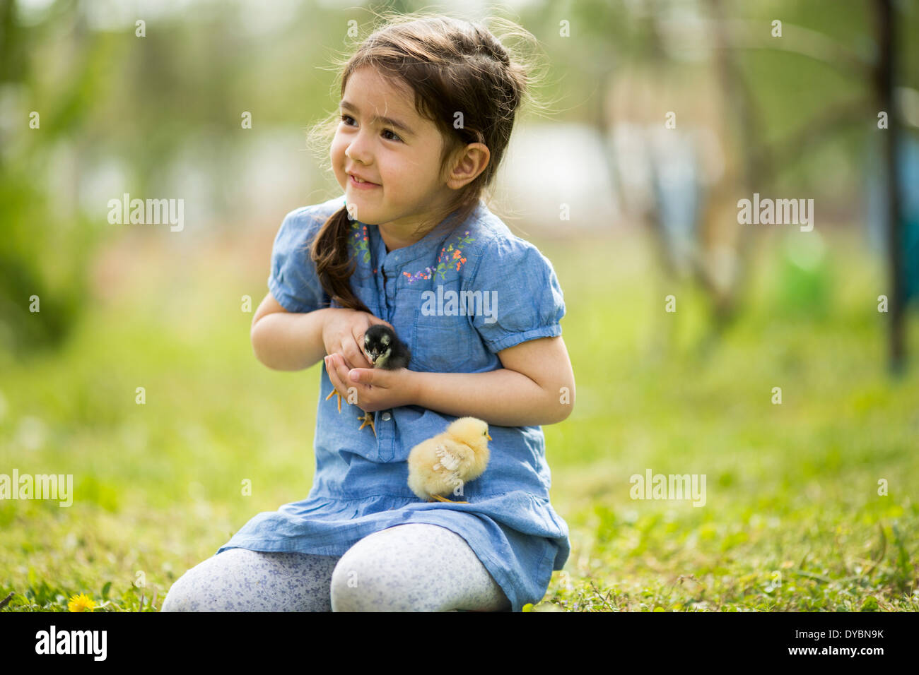 Cute girl with chicken Stock Photo - Alamy