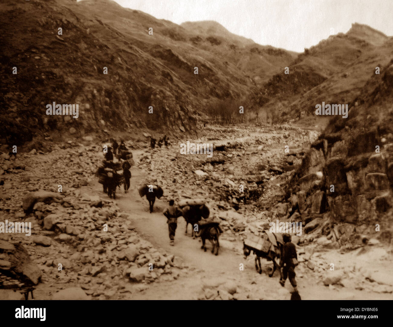 A Mongolian Caravan probably 1920s Stock Photo - Alamy