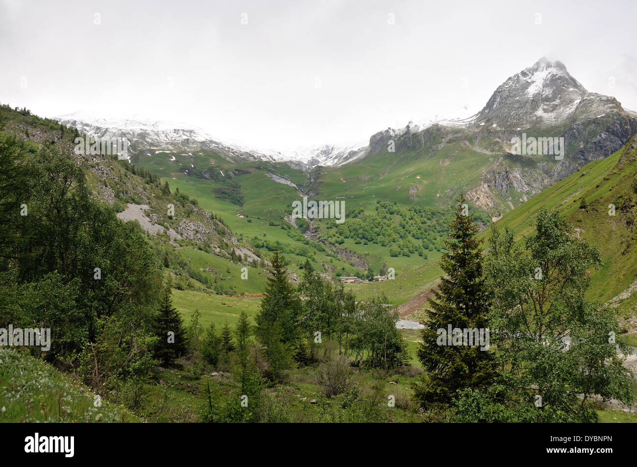 Snowy Alps in June Stock Photo - Alamy