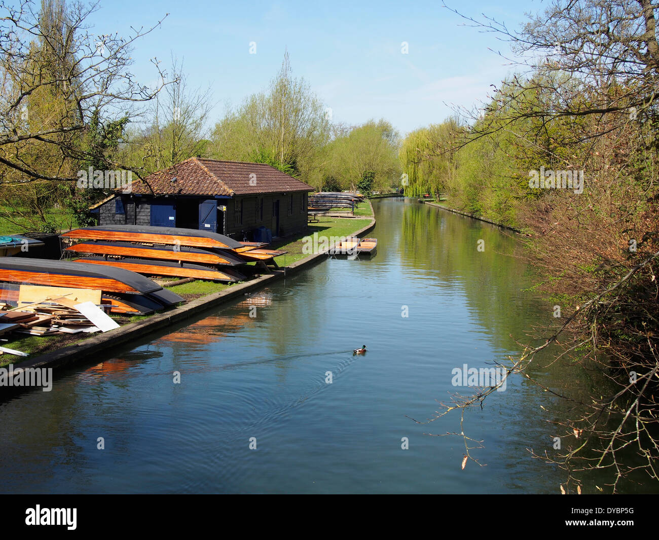 Coe fen hi-res stock photography and images - Alamy