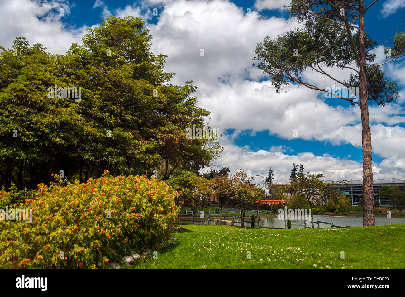 Lush green park landscape hi-res stock photography and images - Alamy