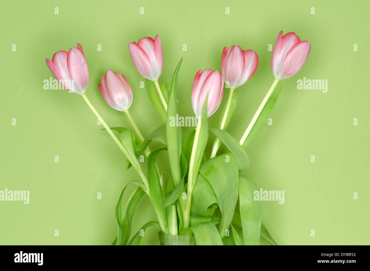 Nice bunch of flowers hi-res stock photography and images - Alamy