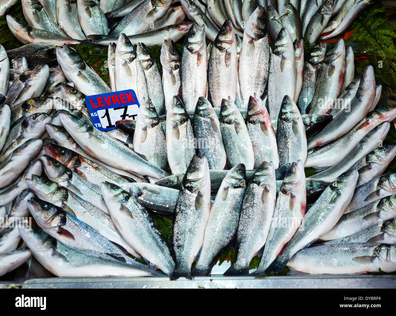 Shop selling fresh fish on Kalcin Sokak near the Spice Bazaar, Eminonu ...