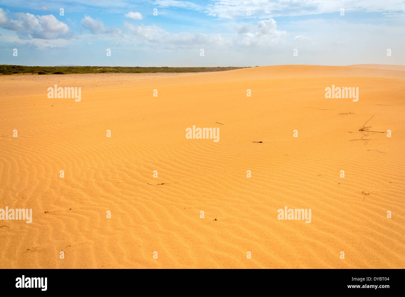 View of dry sandy desert in La Guajira, Colombia Stock Photo - Alamy