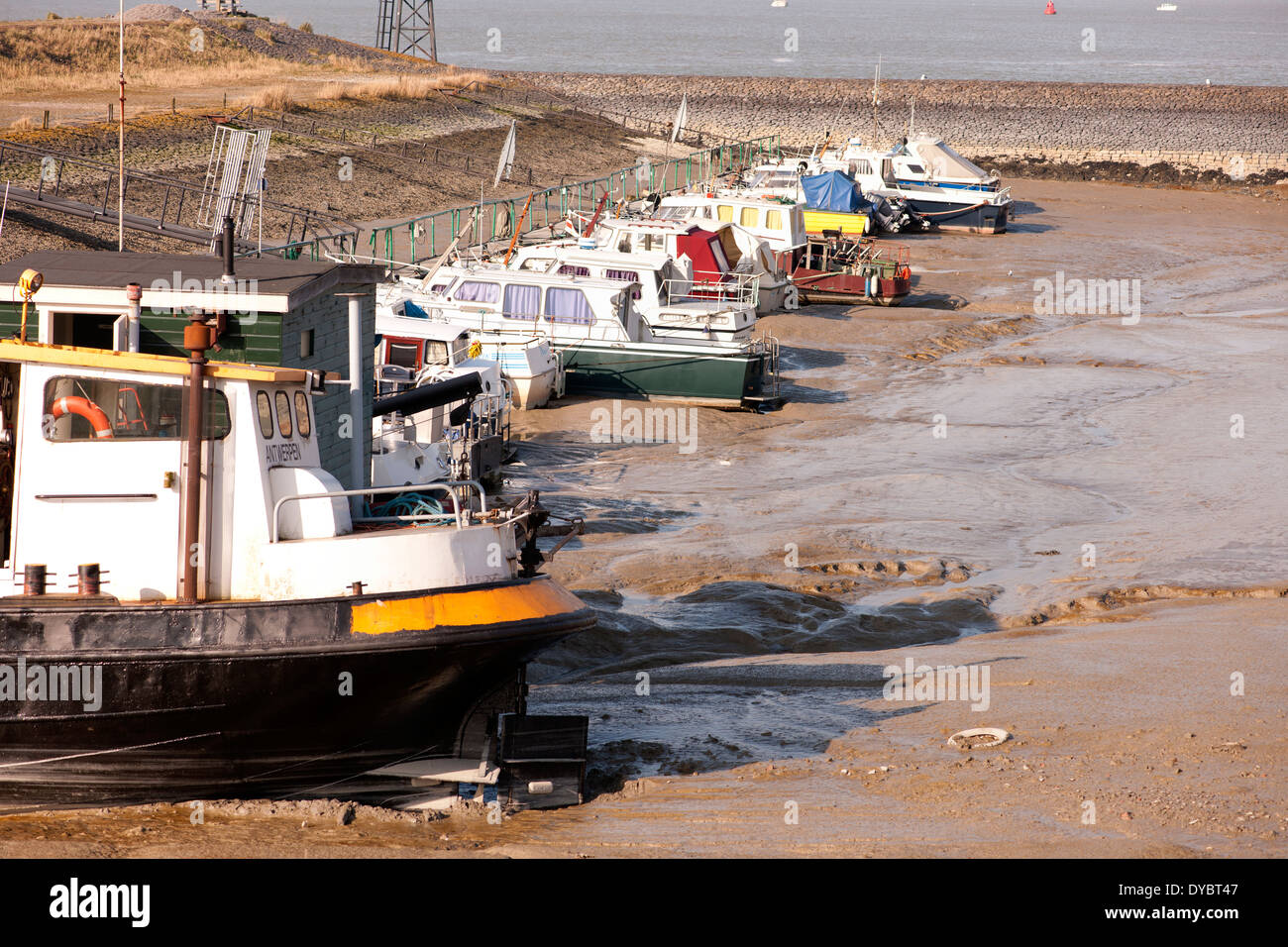Harbor Mud High Resolution Stock Photography and Images - Alamy
