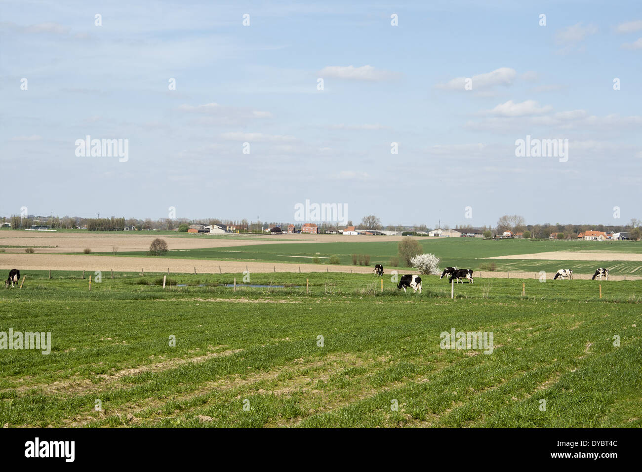 Landscape in flanders fields belgium sky and clouds farm Stock Photo ...