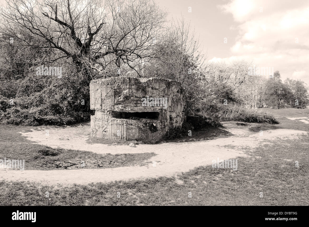 Bunker pillbox first wotld war trench of death Stock Photo - Alamy