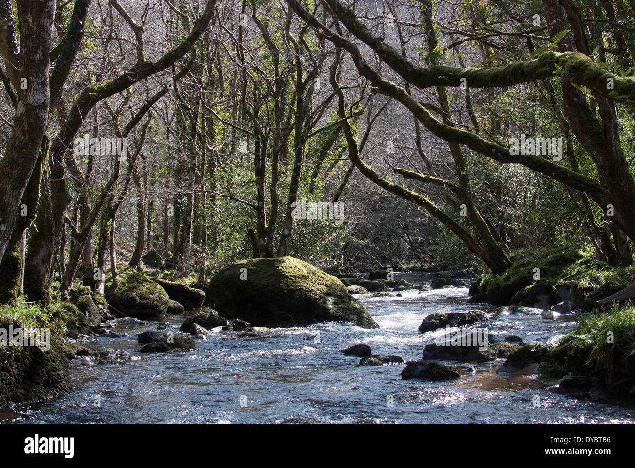 Fingle hi-res stock photography and images - Alamy