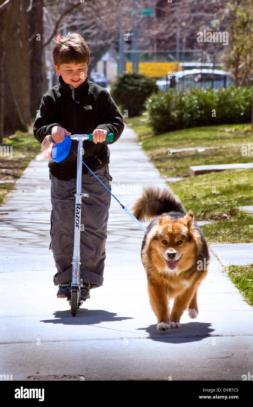 Child scooter and dog hi-res stock photography and images - Alamy