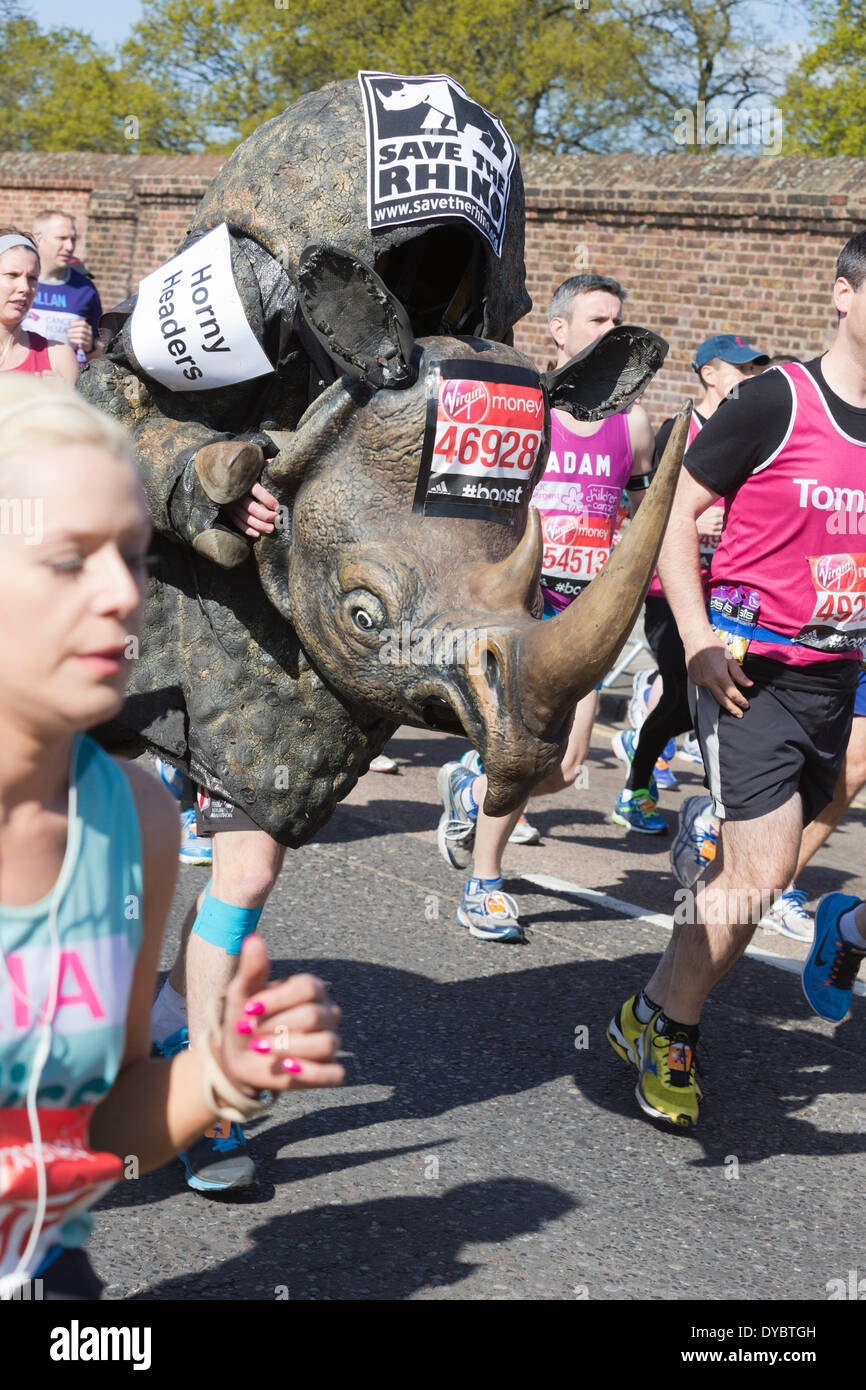 News rhino hi-res stock photography and images - Alamy