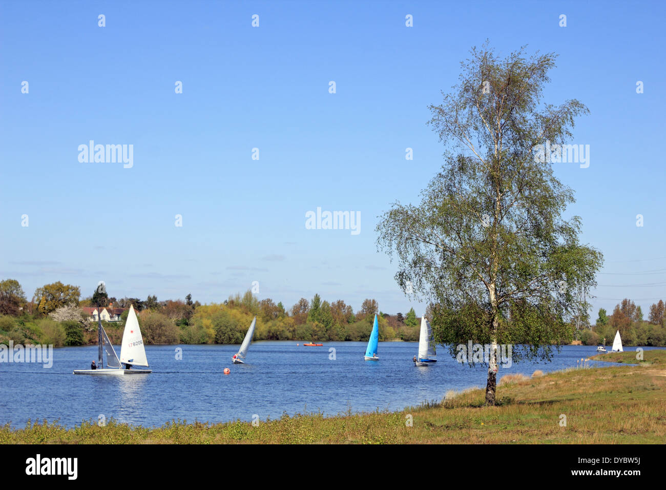 Papercourt lake Sailing Club near Ripley Surrey England UK Stock Photo ...