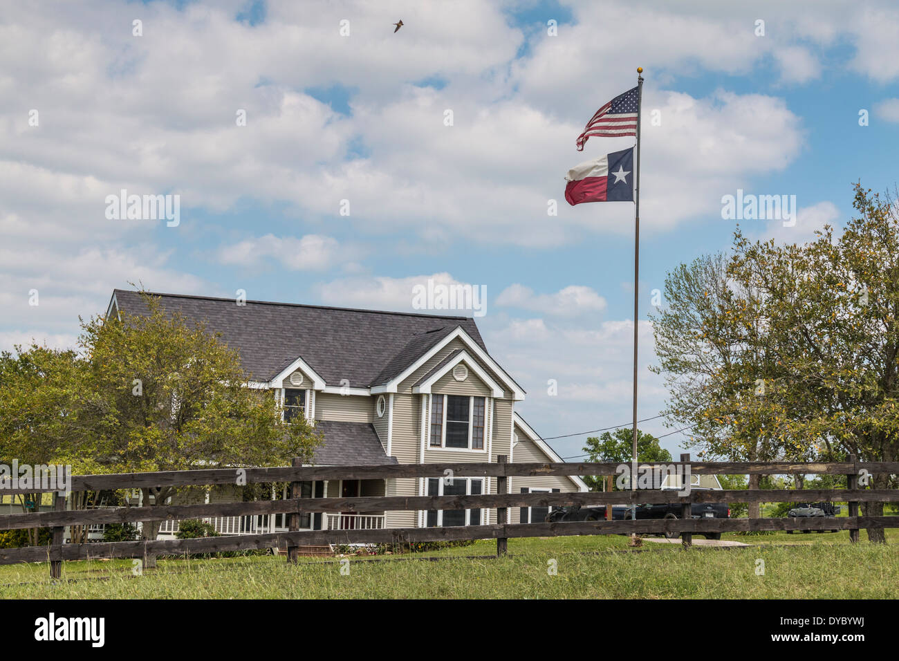 American Flag Texas Flag Flying High Resolution Stock Photography and ...