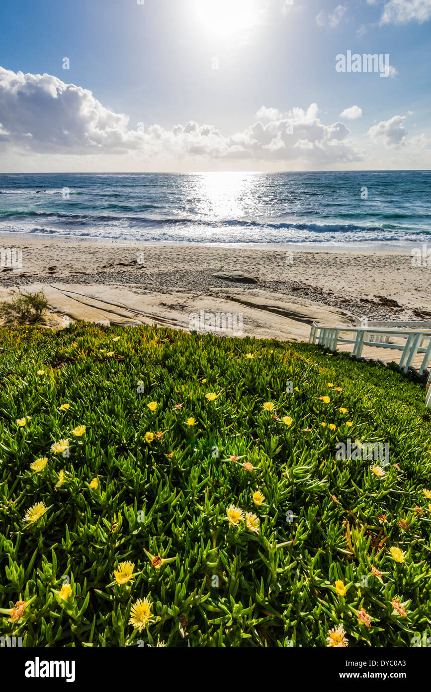 Windansea Beach. La Jolla, California, United States Stock Photo - Alamy