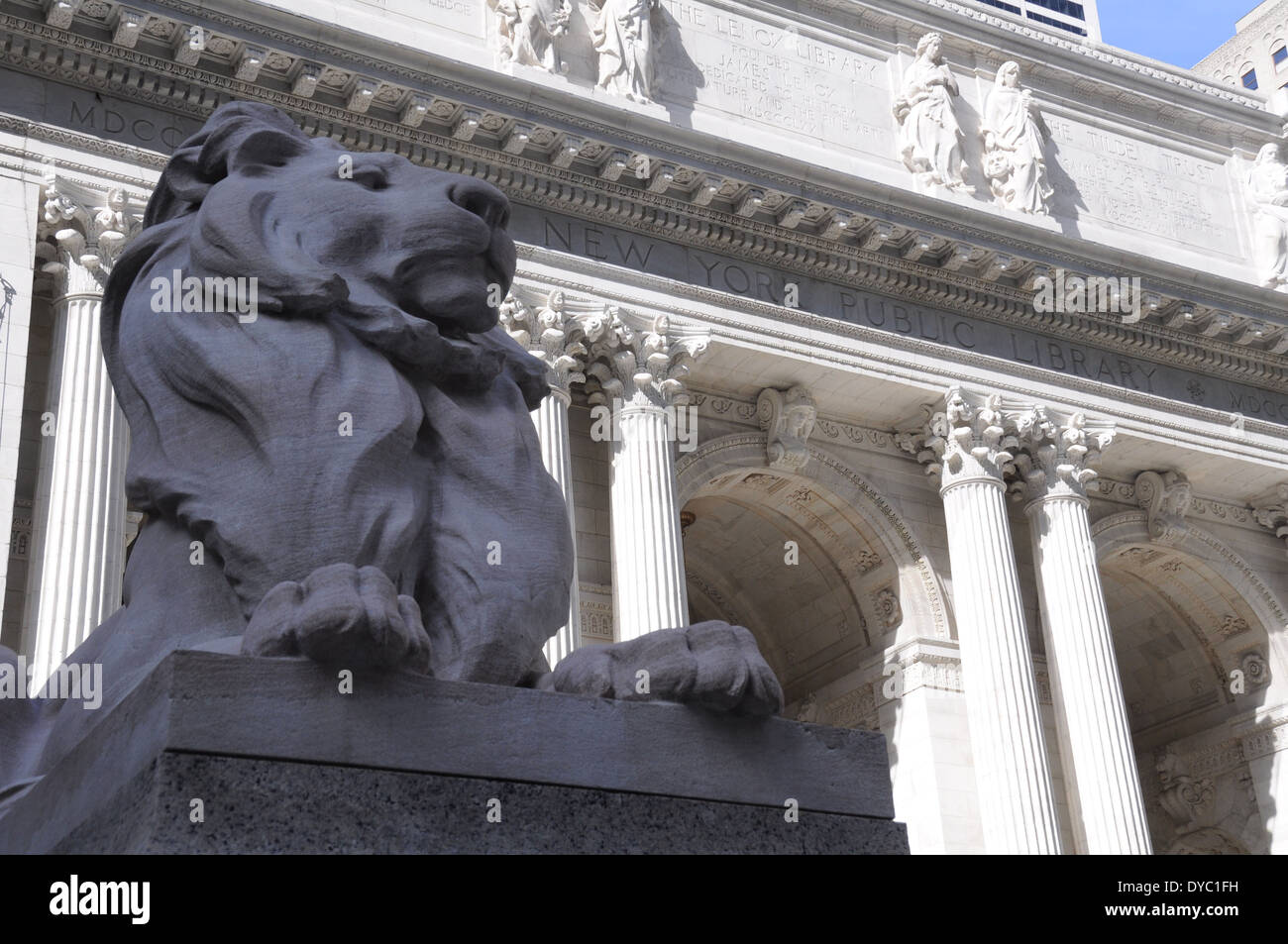 New york public library and lions hi-res stock photography and images ...