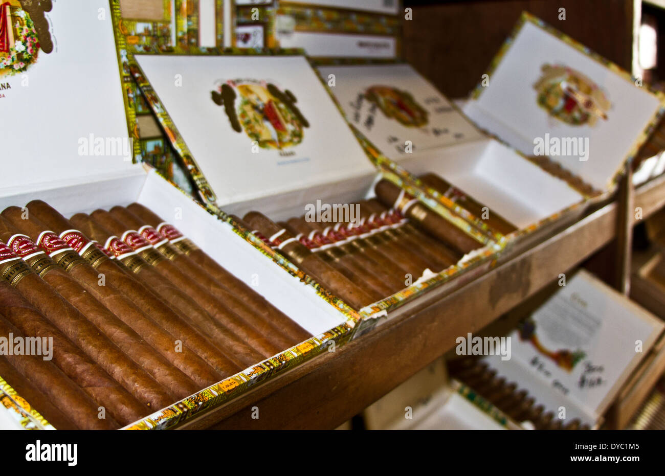 Cuban cigar boxes in St Maarten Stock Photo - Alamy