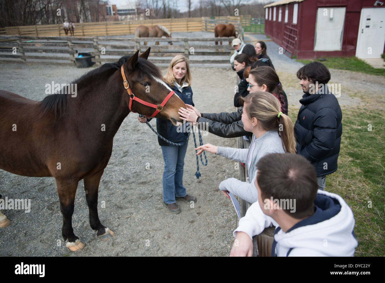 University of maryland classroom hi-res stock photography and images ...