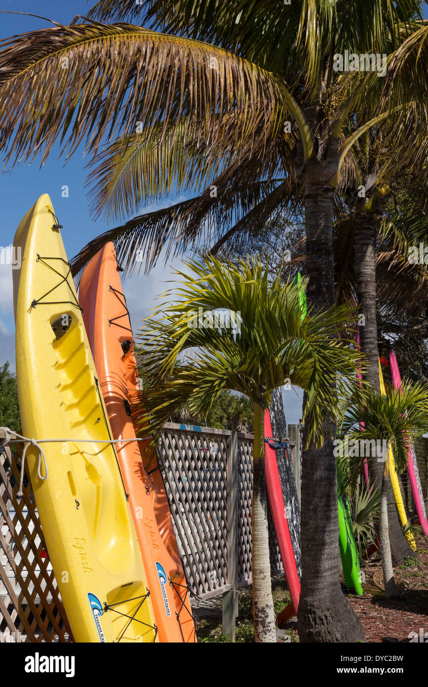 Kayak and Water Board Rental and Palm Trees, Casey Key, Florida, USA ...