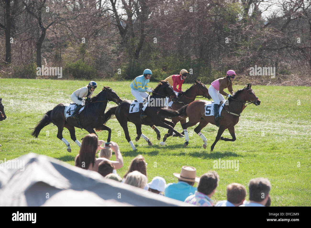 Manor Races steeple chase race, Maryland Stock Photo - Alamy