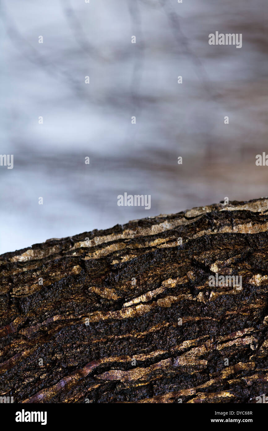 Tree bark against moving water abstract Stock Photo - Alamy