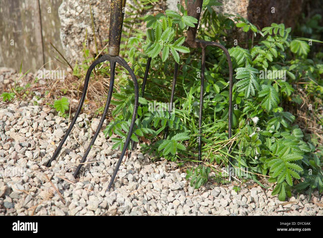 English landscape gardening hi-res stock photography and images - Alamy