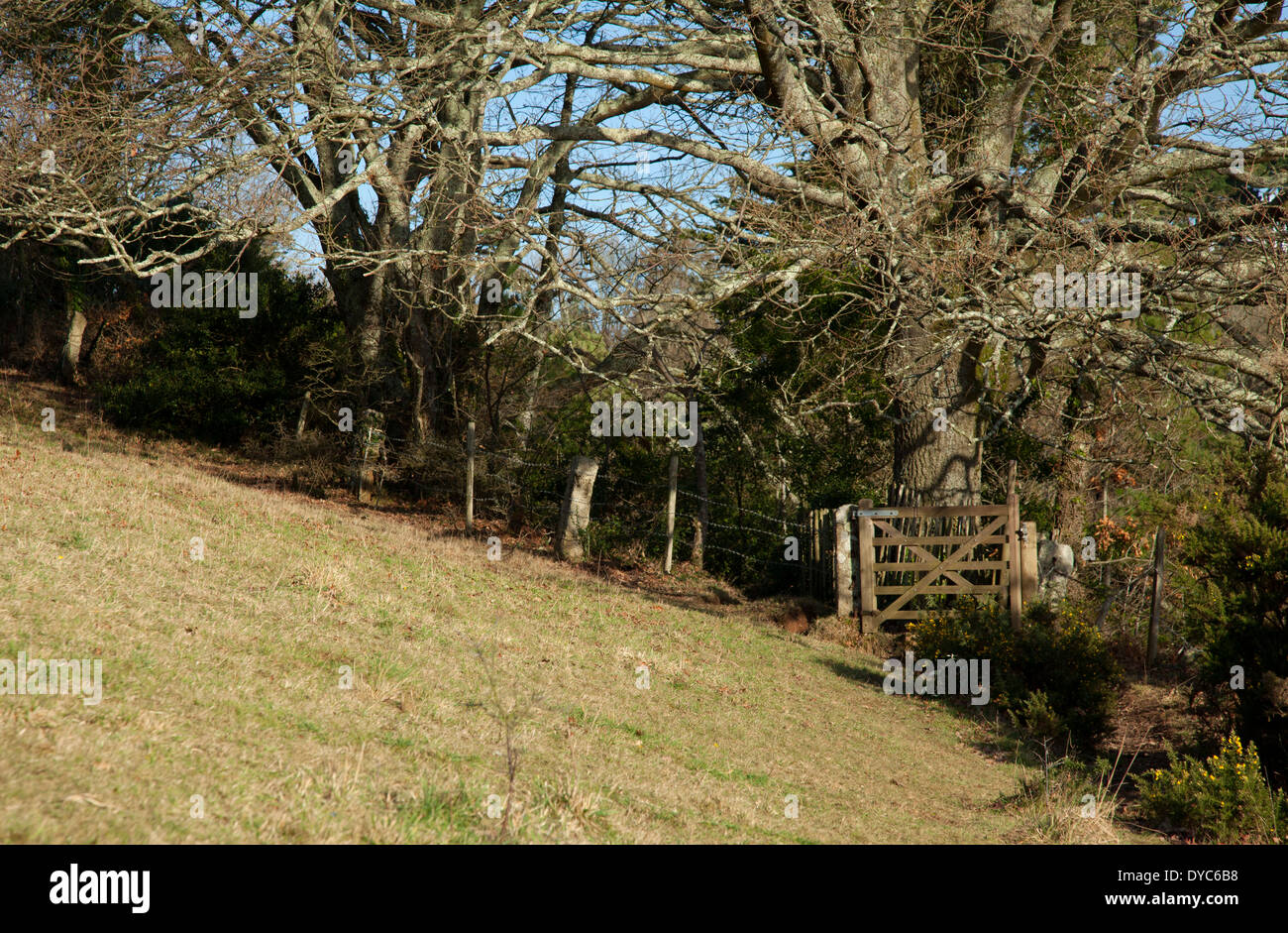 Gate threshold hi-res stock photography and images - Alamy