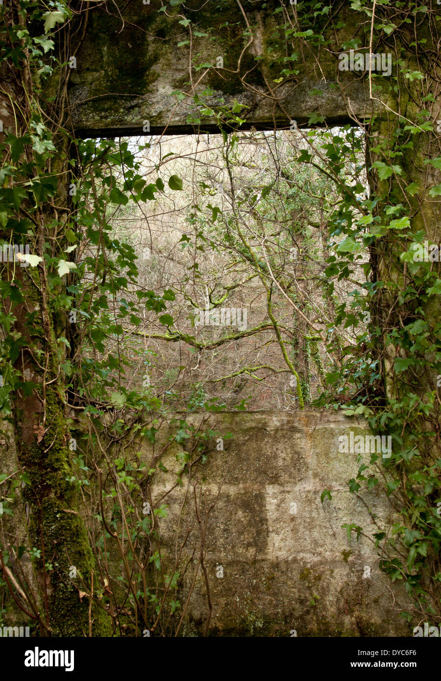 Abandoned building cornwall hi-res stock photography and images - Alamy